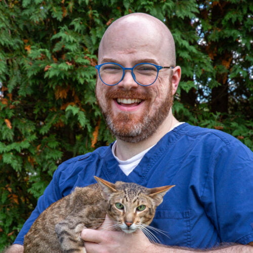 About Us - South Deerfield Veterinary Clinic